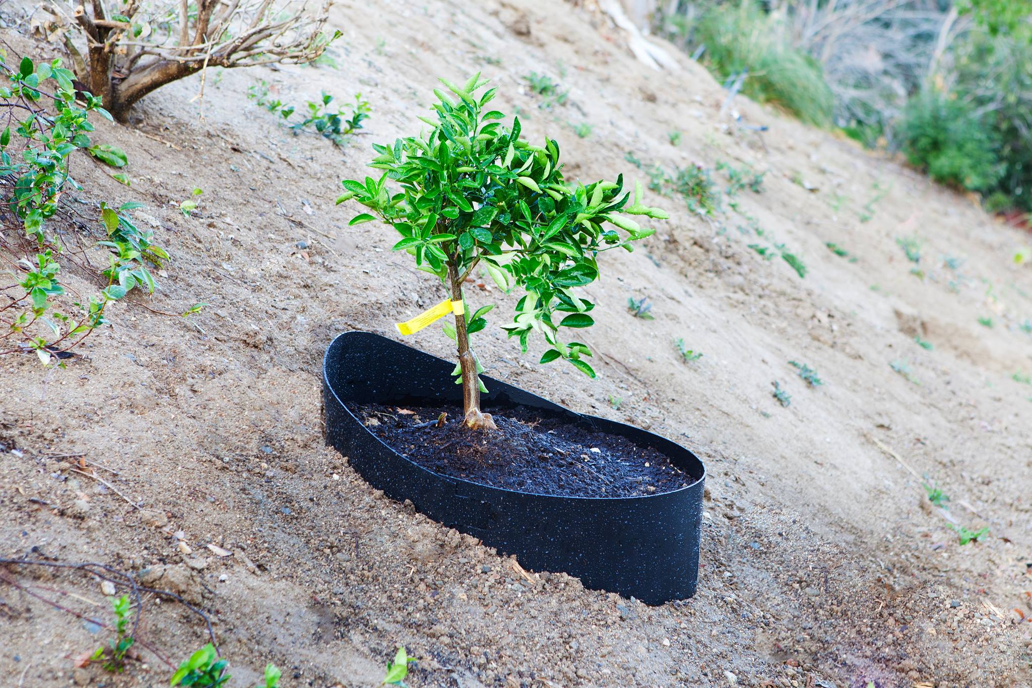 Shop Plant Lockers at Dirt Locker® Official | Dirt Locker® Official