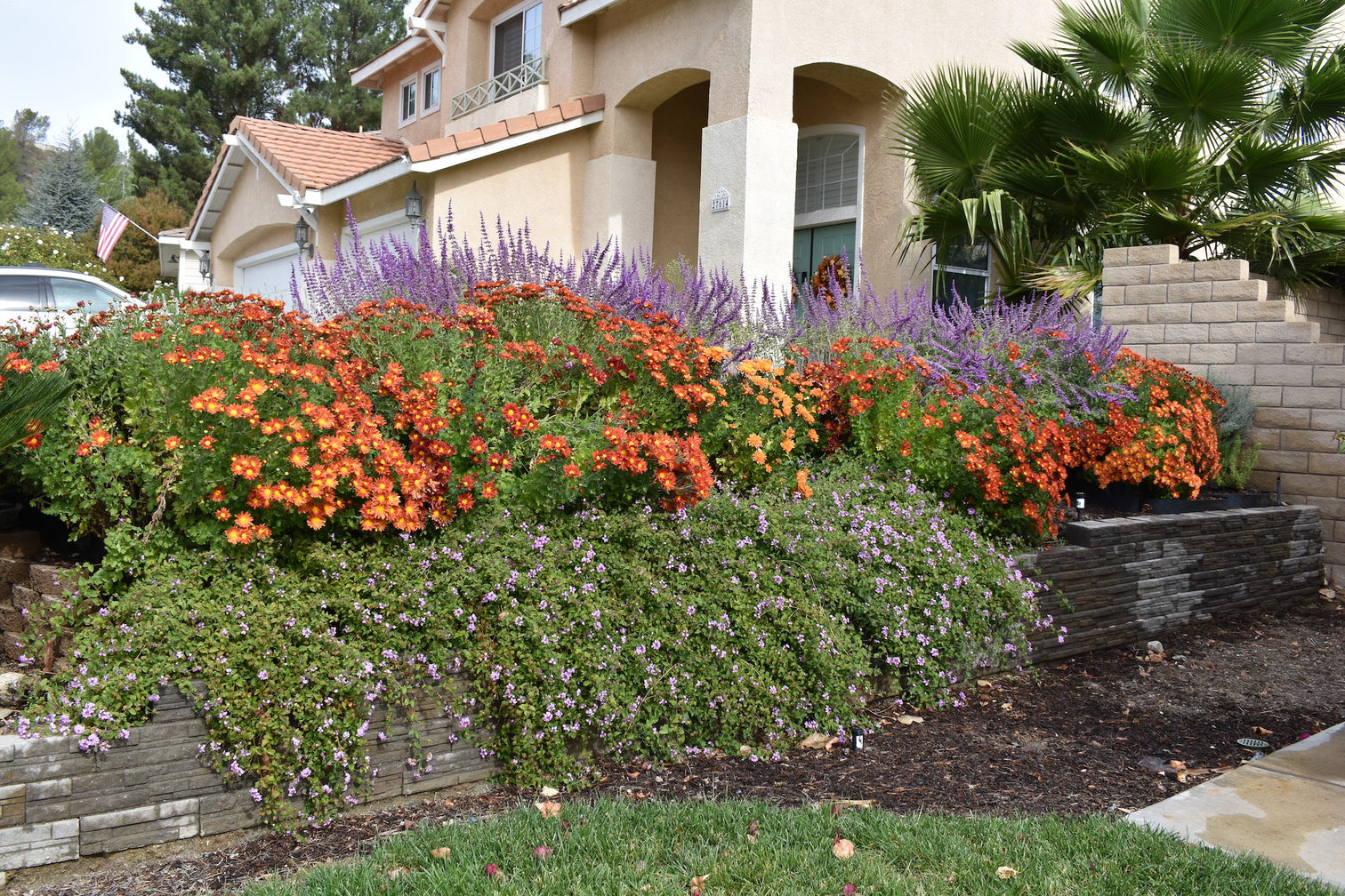 DIRT LOCKER®: Terrace Gardening and Erosion Control Solution