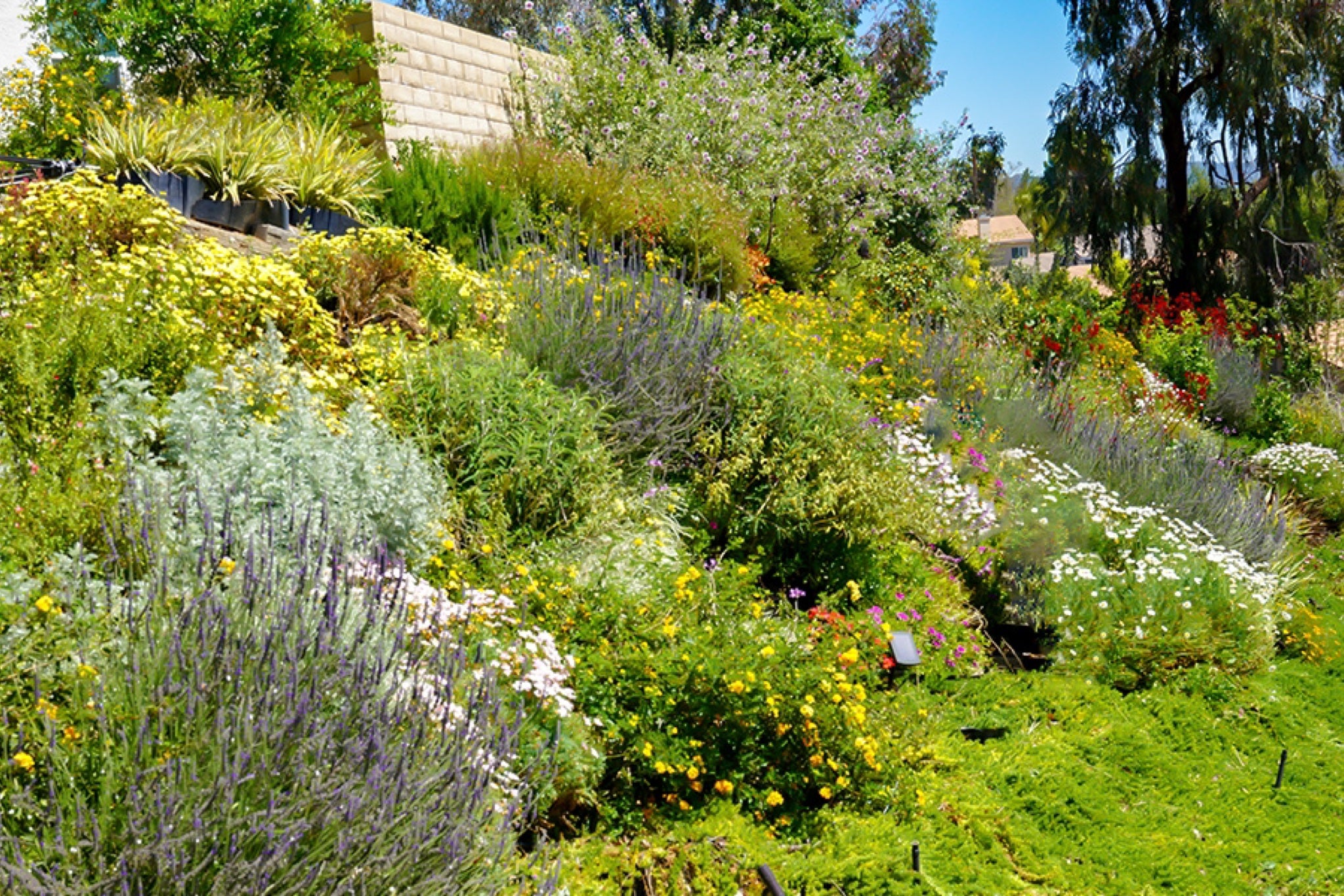 DIRT LOCKER®: Terrace Gardening and Erosion Control Solution