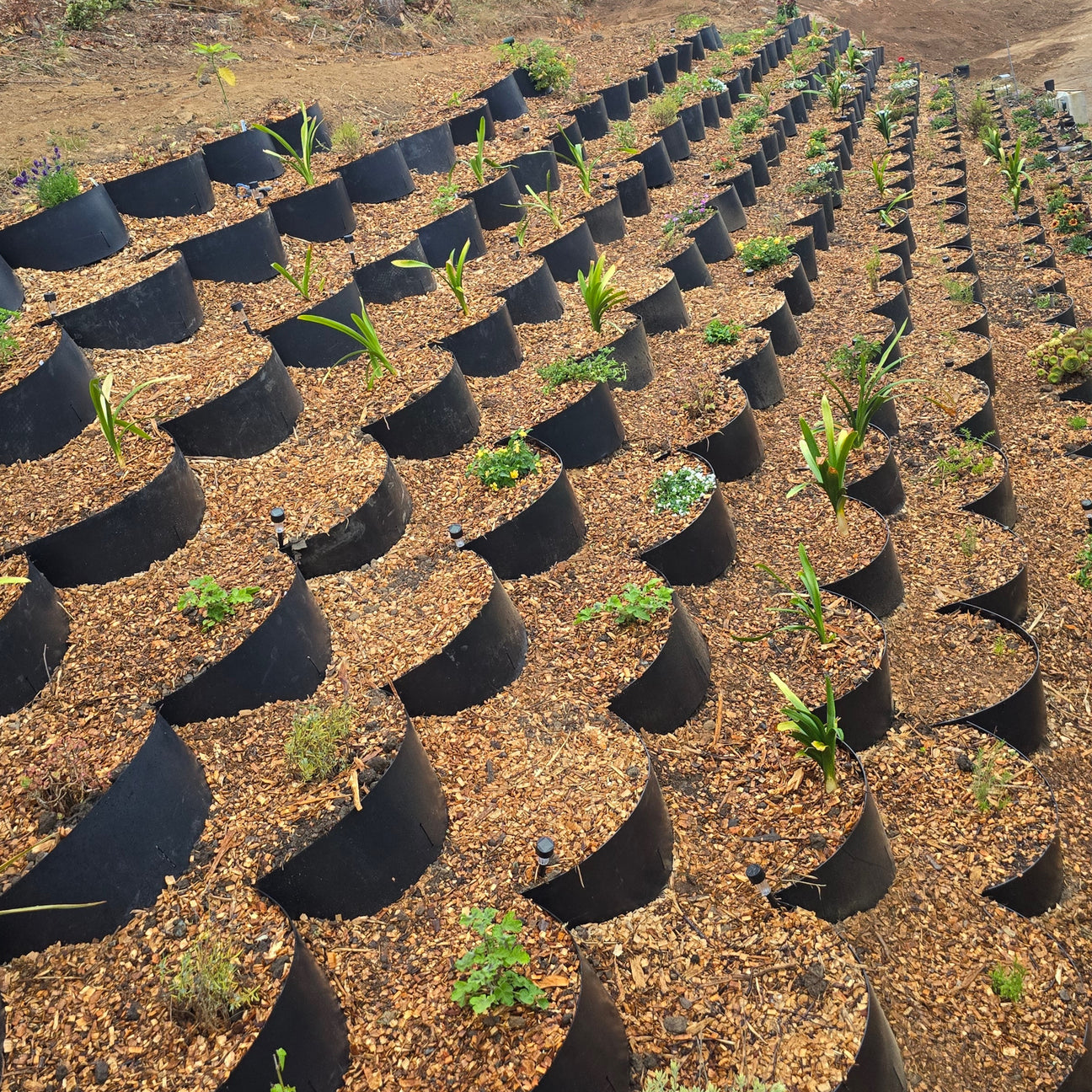 DIRT LOCKER®: Terrace Gardening and Erosion Control Solution