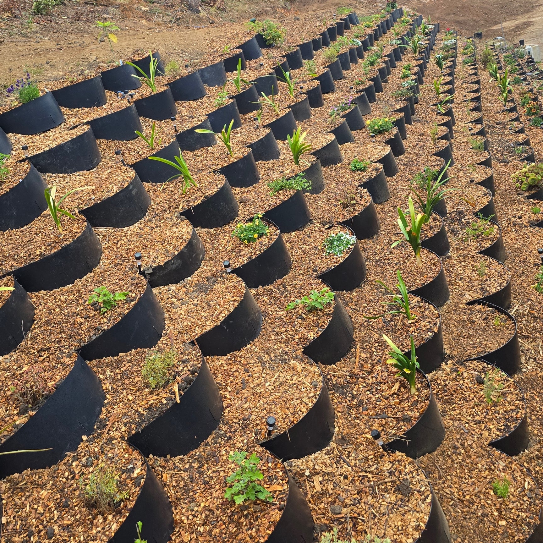 DIRT LOCKER®: Terrace Gardening and Erosion Control Solution