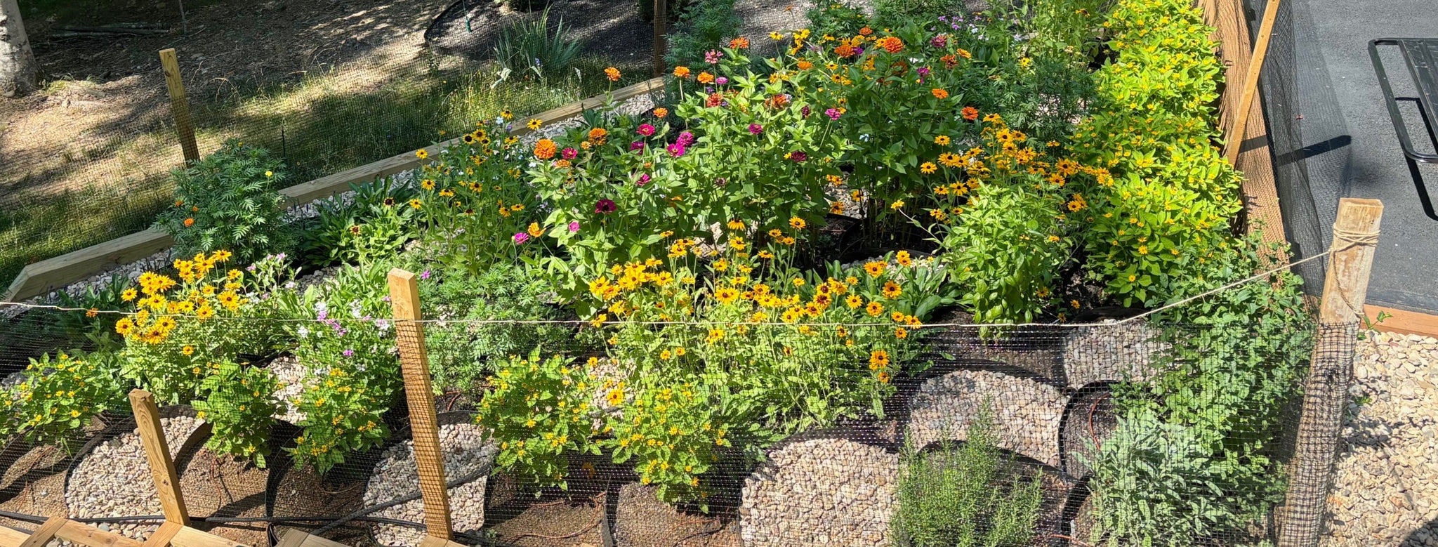 DIRT LOCKER®: Terrace Gardening and Erosion Control Solution