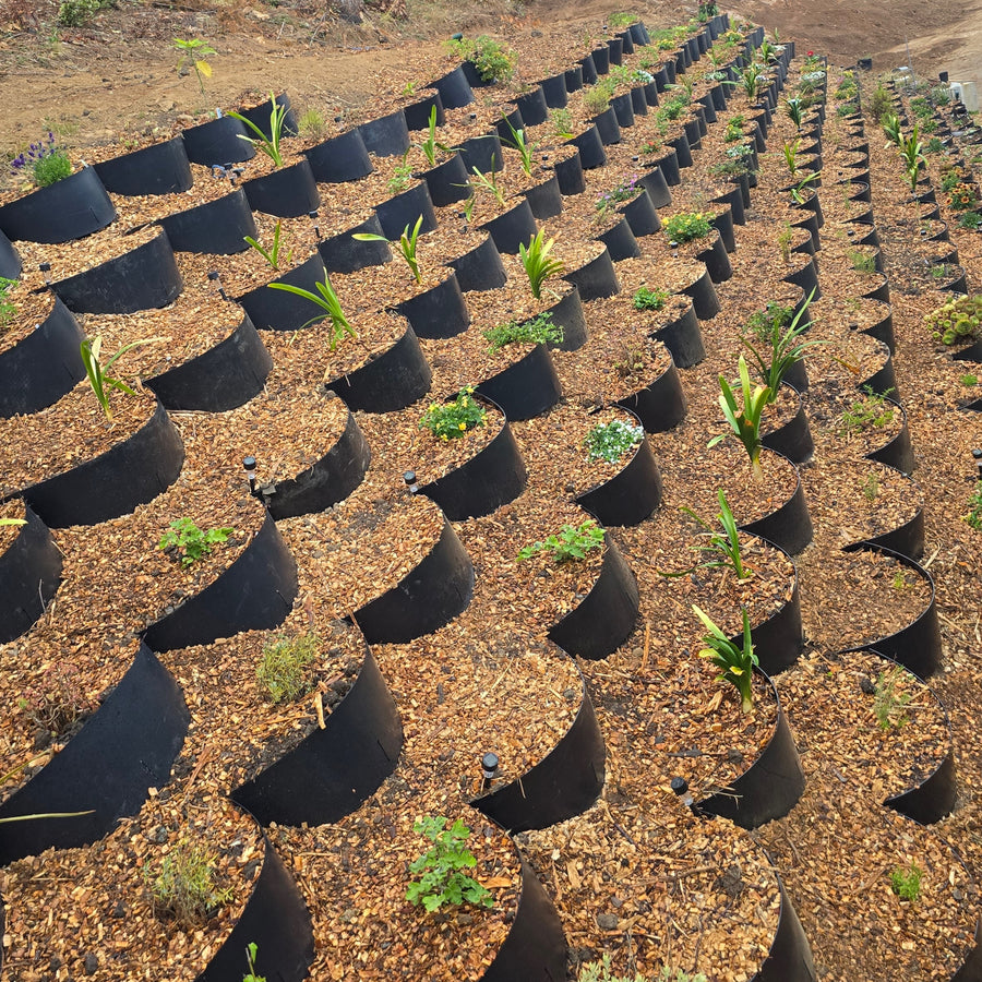 DIRT LOCKER®: Terrace Gardening and Erosion Control Solution