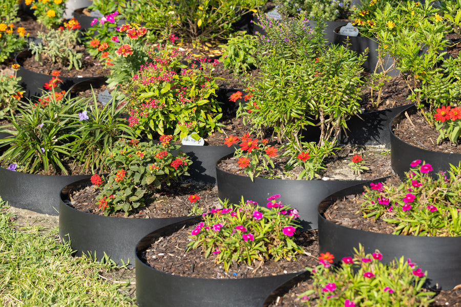DIRT LOCKER®: Terrace Gardening and Erosion Control Solution