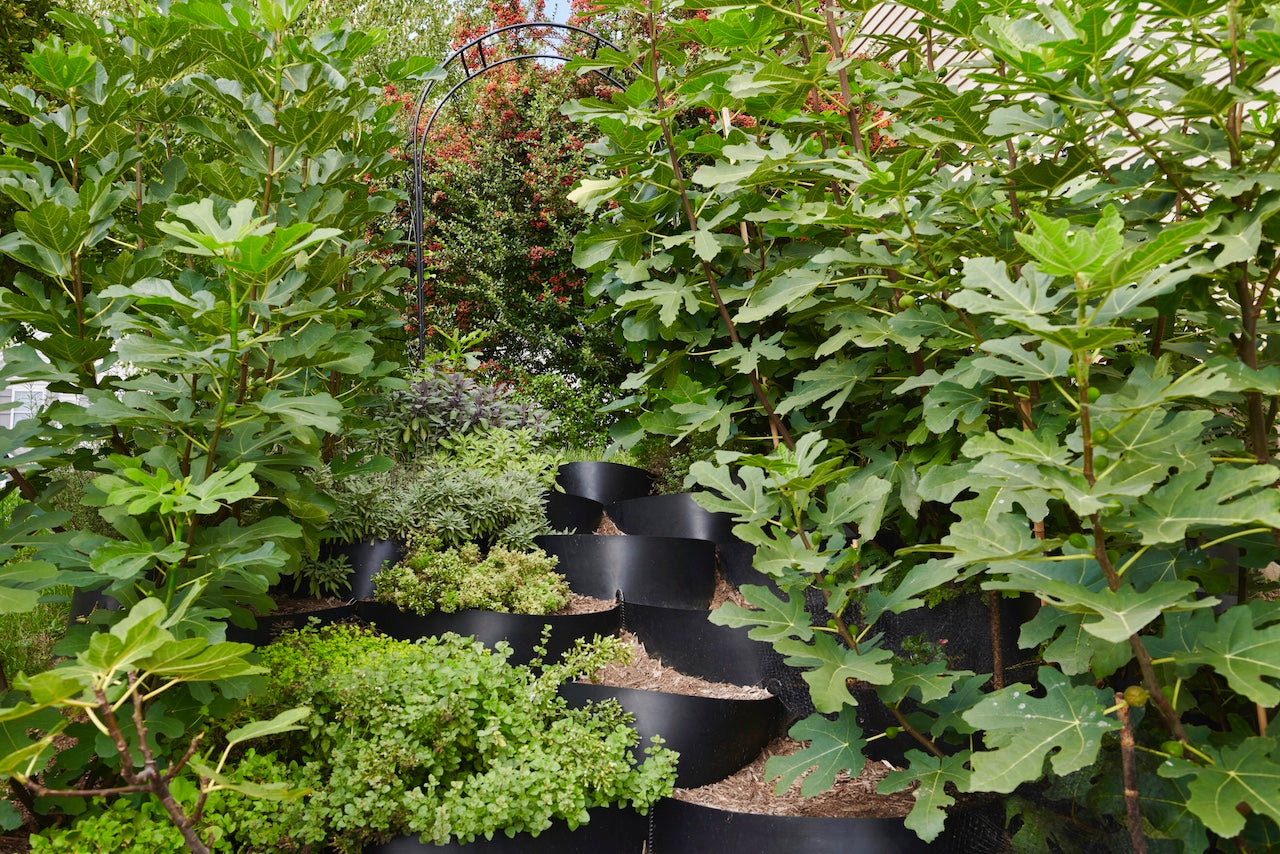 DIRT LOCKER®: Solución de control de erosión y jardinería en terrazas